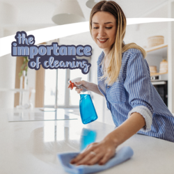 Cleaning and Disinfecting your Home - Lin's Fresh Market