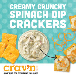 Creamy Crunchy Spinach Dip Crackers - Macey's